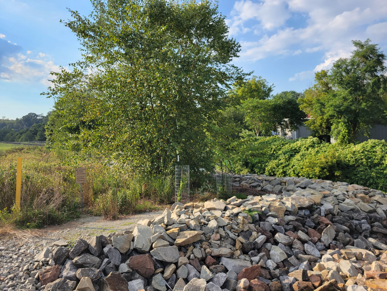 Riparian Forest Buffer Tree Maintenance at Pennsylvania Disposal Site ... Riparian Forest Buffer Tree Maintenance at Pennsylvania Disposal Site ...